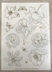 CP79 Textures (Texturas) – DBA Originals